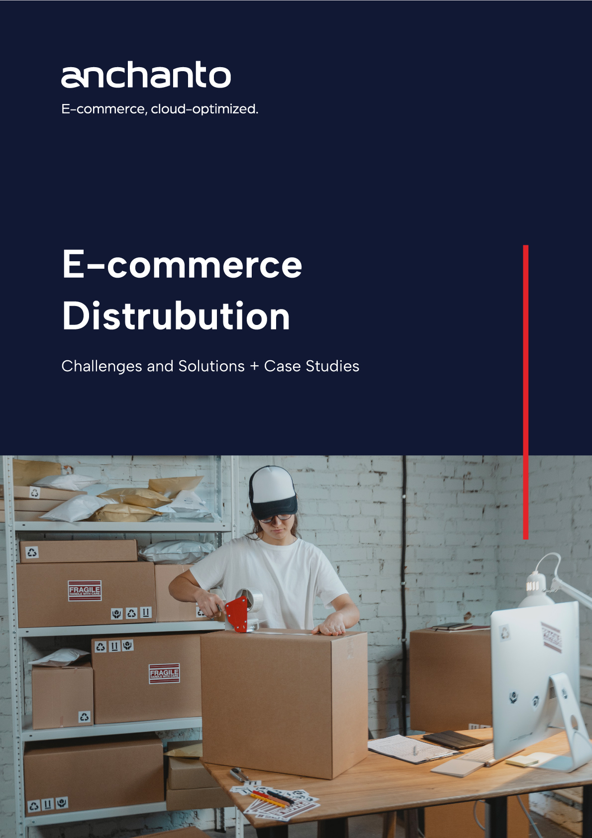 E-commerce Distribution Challenges and Solutions + Case Studies