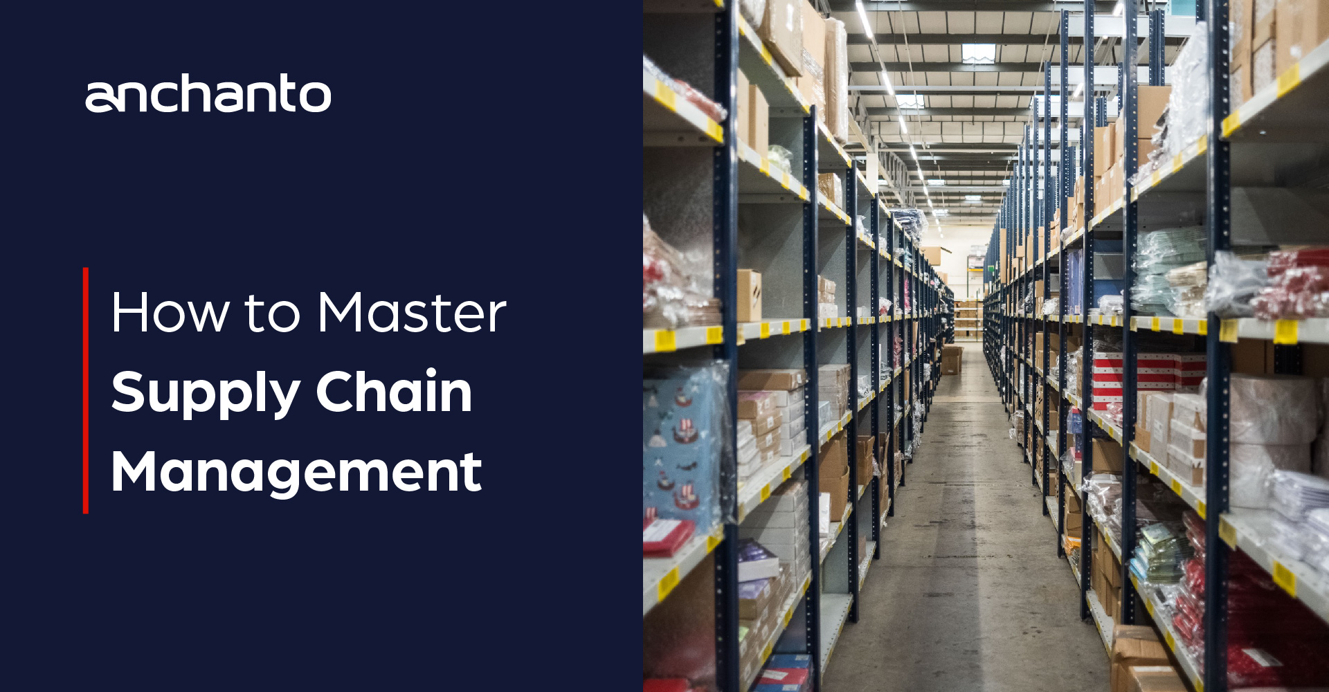 Join Our Team | Explore Careers at Anchanto